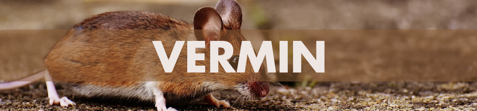 Complete Guide To Top 7 Home Emergencies [Infographic]